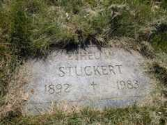 Stuckert family name