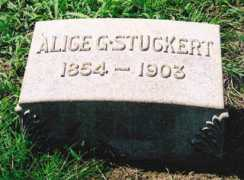 Stuckert family name