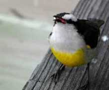 Wardrick family name